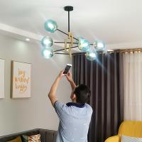 China Nordic Chandelier Living Room Bedroom Ceiling Chandelier Creative Hanging Light(WH-MI-440) for sale