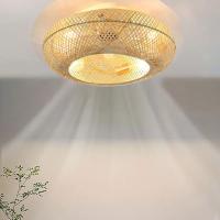 China Ventilator Lamp 50cm Air Invisible Blades Retractable Silent Bamboo Ceiling Fan Fans With Lights(WH-CLL-51) for sale