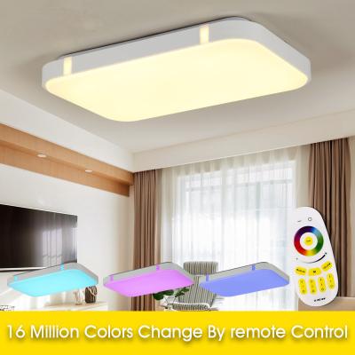 China New Colorful Modern Led Ceiling Lights For Home Decorative RGB Light Fixture (WH-MA-29) for sale