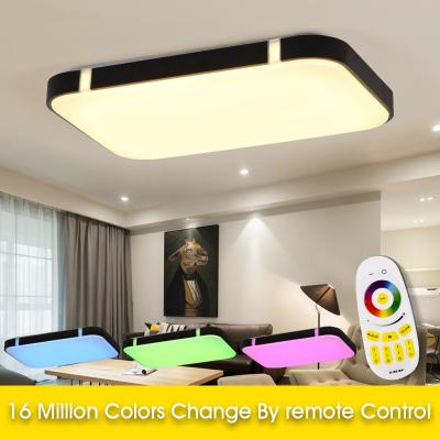 China Modern Ceiling Lights RGB ceiling Lamp kitchen overhead light fixtures (WH-MA-33) for sale