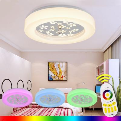 China Fashionable ceiling lights for Living room Kitchen Dining room (WH-MA-36) for sale