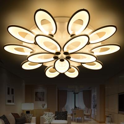 China Affordable modern ceiling lighting for Bedroom Kitchen Dining room Ceiling lamp Fixtures (WH-MA-54) for sale