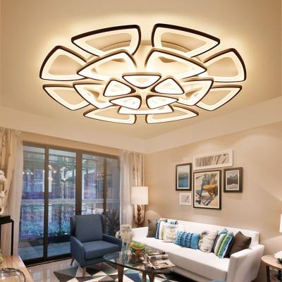 China Adjustable Acrylic ceiling lights for Living room Bedroom Kitchen Lighting Fixtures (WH-MA-58) for sale