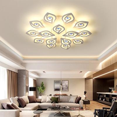 China Unique ceiling lights uk Eye Acrylic Lampshade for indoor ceiling decorate Fixtures (WH-MA-60) for sale