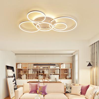 China Cool Rings ceiling lights White Color For Indoor Home Lighting Fixtures (WH-MA-68) for sale