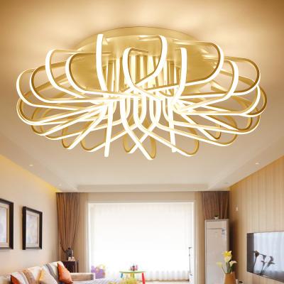 China Pendulum ceiling lighting in kitchen Bedroom Living rooom Lighting Fxitures (WH-MA-89) for sale