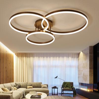 China Drop Black ceiling light panels Ring Ceiling lamp For indoor home Lighting (WH-MA-95) for sale