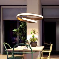 China Modern Drop down pendant lights For Indoor Home Lighting Fixtures (WH-AP-11) for sale