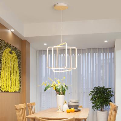 China Modern Pulley pendant light Fixtures for Indoor home Lighting Fixtures (WH-AP-17) for sale