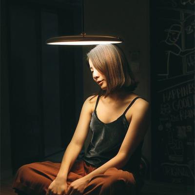 China Modern Amazing pendant lights Simple Style For Indoor home Kitchen Lighting Fixtures (WH-AP-54) for sale