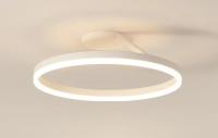 China Modern LED Ceiling Light Home Decor Circular Lamps Fixtures （WH-AP-713） for sale