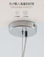 China Taraxacum Suspension lamp Nordic Glass bubble pendant light (WH-GP-194) for sale