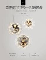 China Taraxacum Suspension lamp Nordic Glass bubble pendant light (WH-GP-194) for sale