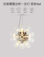 China Taraxacum Suspension lamp Nordic Glass bubble pendant light (WH-GP-194) for sale