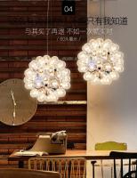 China Taraxacum Suspension lamp Nordic Glass bubble pendant light (WH-GP-194) for sale