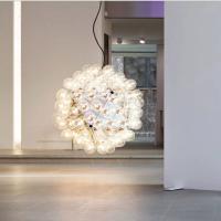 China Taraxacum Suspension lamp Nordic Glass bubble pendant light (WH-GP-194) for sale