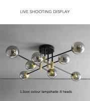 China Simple Modern Led Ceiling Lamp Golden Living Room Bedroom Dining Room Study Home Lighting(WH-GP-196) for sale