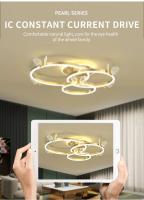 China Living Room Ceiling Lamp fashion Atmosphere Modern Simple Luxury Butterfly Ceiling Lights(WH-MA-308) for sale