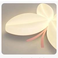 China Bedroom Ceiling Lamps Creative Princess Room Little Girl Warm Romantic Butterfly Ceiling Lights(WH-MA-312) for sale