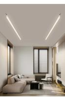China ceiling lamps kitchen living room led bedroom dining room nordic modern aisle balcony strip light(WH-MA-313) for sale