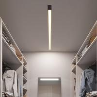 China ceiling lamps kitchen living room led bedroom dining room nordic modern aisle balcony strip light(WH-MA-313) for sale