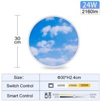 China Home Decor Lamp Bedroom Aisle Living Room LED Modern Blue Sky Moon Ceiling Light(WH-MA-319) for sale