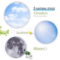 China Home Decor Lamp Bedroom Aisle Living Room LED Modern Blue Sky Moon Ceiling Light(WH-MA-319) for sale