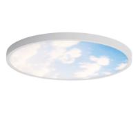 China Home Decor Lamp Bedroom Aisle Living Room LED Modern Blue Sky Moon Ceiling Light(WH-MA-319) for sale