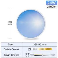 China Home Decor Lamp Bedroom Aisle Living Room LED Modern Blue Sky Moon Ceiling Light(WH-MA-319) for sale