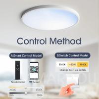 China Home Decor Lamp Bedroom Aisle Living Room LED Modern Blue Sky Moon Ceiling Light(WH-MA-319) for sale