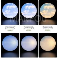 China Home Decor Lamp Bedroom Aisle Living Room LED Modern Blue Sky Moon Ceiling Light(WH-MA-319) for sale