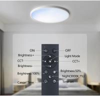 China Home Decor Lamp Bedroom Aisle Living Room LED Modern Blue Sky Moon Ceiling Light(WH-MA-319) for sale
