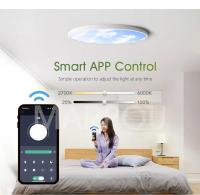 China Home Decor Lamp Bedroom Aisle Living Room LED Modern Blue Sky Moon Ceiling Light(WH-MA-319) for sale
