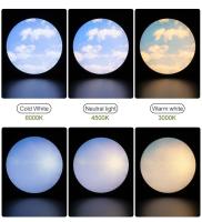 China Home Decor Lamp Bedroom Aisle Living Room LED Modern Blue Sky Moon Ceiling Light(WH-MA-319) for sale