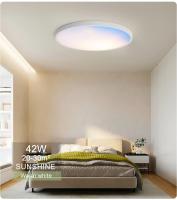 China Home Decor Lamp Bedroom Aisle Living Room LED Modern Blue Sky Moon Ceiling Light(WH-MA-319) for sale