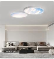 China Home Decor Lamp Bedroom Aisle Living Room LED Modern Blue Sky Moon Ceiling Light(WH-MA-319) for sale