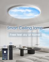 China Home Decor Lamp Bedroom Aisle Living Room LED Modern Blue Sky Moon Ceiling Light(WH-MA-319) for sale