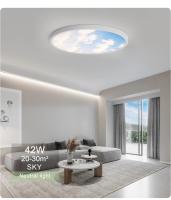 China Home Decor Lamp Bedroom Aisle Living Room LED Modern Blue Sky Moon Ceiling Light(WH-MA-319) for sale