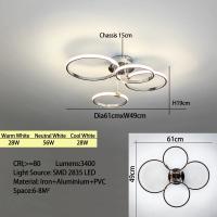 China ceiling lamps living room Kitchen lamps bedroom Scandinavian luxury Ring Ceiling light(WH-MA-325) for sale