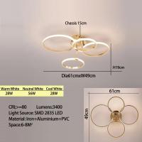China ceiling lamps living room Kitchen lamps bedroom Scandinavian luxury Ring Ceiling light(WH-MA-325) for sale