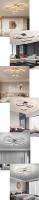 China ceiling lamps living room Kitchen lamps bedroom Scandinavian luxury Ring Ceiling light(WH-MA-325) for sale