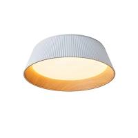 China Indoor Lighting Decor Luster Home Kitchen Bedroom Nordic Minimalist Ceiling Lights(WH-MA-326) for sale