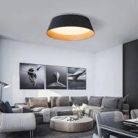 China Indoor Lighting Decor Luster Home Kitchen Bedroom Nordic Minimalist Ceiling Lights(WH-MA-326) for sale