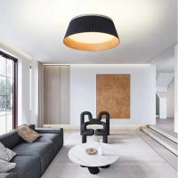 China Indoor Lighting Decor Luster Home Kitchen Bedroom Nordic Minimalist Ceiling Lights(WH-MA-326) for sale
