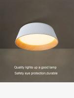 China Indoor Lighting Decor Luster Home Kitchen Bedroom Nordic Minimalist Ceiling Lights(WH-MA-326) for sale