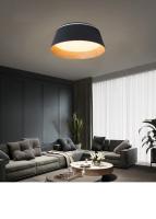 China Indoor Lighting Decor Luster Home Kitchen Bedroom Nordic Minimalist Ceiling Lights(WH-MA-326) for sale