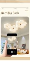 China Indoor Decoration Lighting Kitchen Island Living Room Bedroom Nordic Flower Shape Ceiling Lights(WH-MA-327) for sale