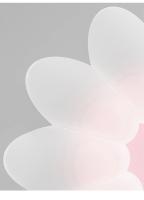 China Bedroom Ceiling lamp Children's room Living room Minimalist Pink flower ceiling lights(WH-MA-330) for sale