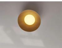 China aisle lights living room Entrance lamp Wood Grain Personality Designer Minimalist ceiling lamp(WH-MA-332) for sale