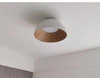 China aisle lights living room Entrance lamp Wood Grain Personality Designer Minimalist ceiling lamp(WH-MA-332) for sale